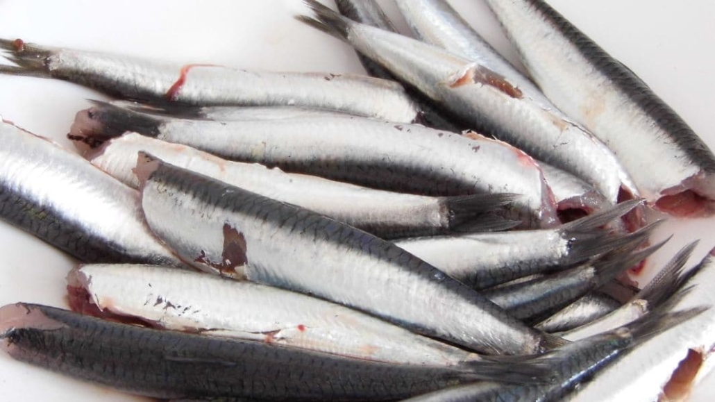 ¿Cómo Limpiar Boquerones correctamente? Paso a Paso | Arroyabe